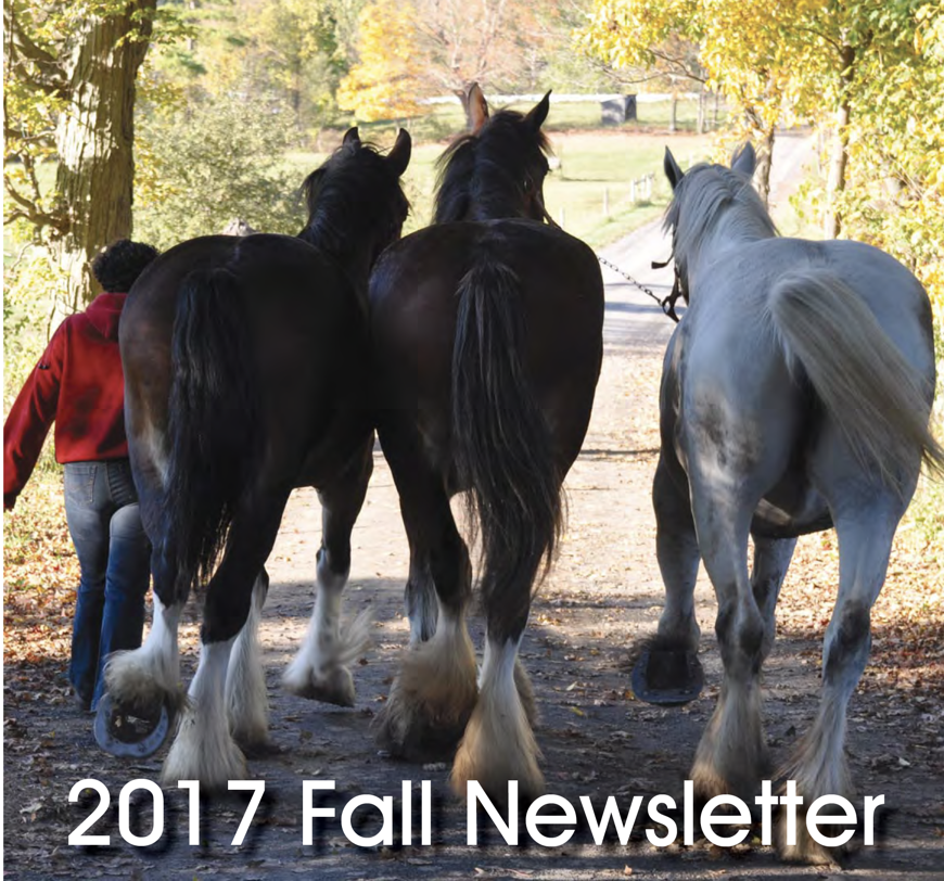 2016 Fall | American Shire Horse Association