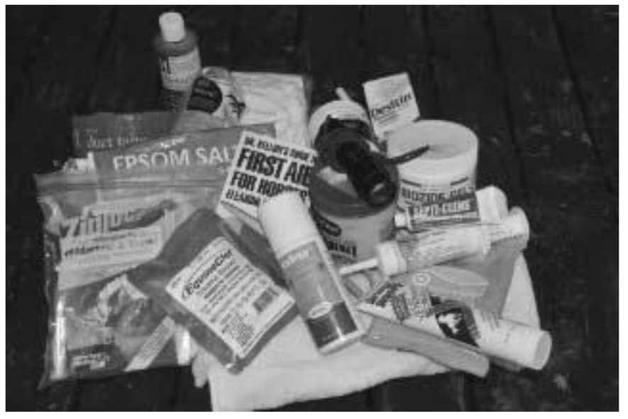 2013 Spring | American Shire Horse Association